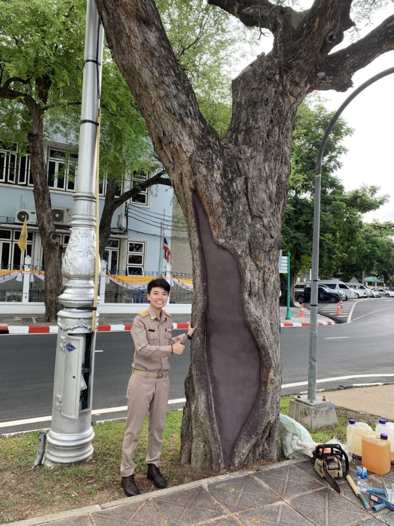 BIGTrees Project : บิ๊กทรี ไม่ใช่เรื่องของต้นไม้ใหญ่ แต่เป็นเรื่องใหญ่ของต้นไม้ รุกขกร - หน้าแรก