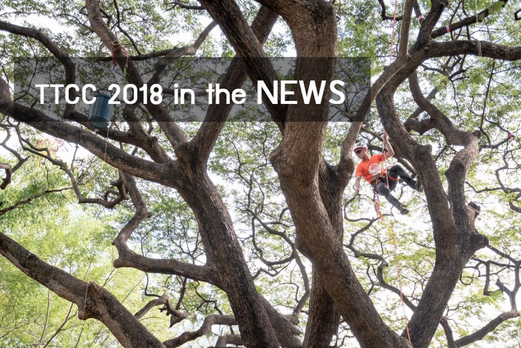 BIGTrees Project : บิ๊กทรี ไม่ใช่เรื่องของต้นไม้ใหญ่ แต่เป็นเรื่องใหญ่ของต้นไม้ รุกขกร - ครั้ง ...