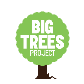 BIGTrees Project : บิ๊กทรี ไม่ใช่เรื่องของต้นไม้ใหญ่ แต่เป็นเรื่องใหญ่ ...