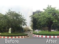 BIGTrees Project : บิ๊กทรี ไม่ใช่เรื่องของต้นไม้ใหญ่ แต่เป็นเรื่องใหญ่ของต้นไม้ รุกขกร - Before ...